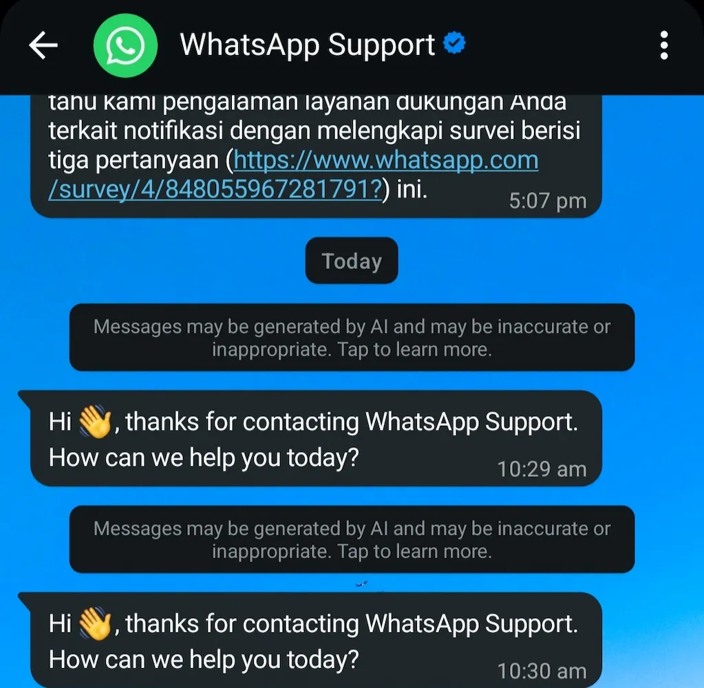 Support WhatsApp: Apa & Bagaimana Cara Menghubungi?